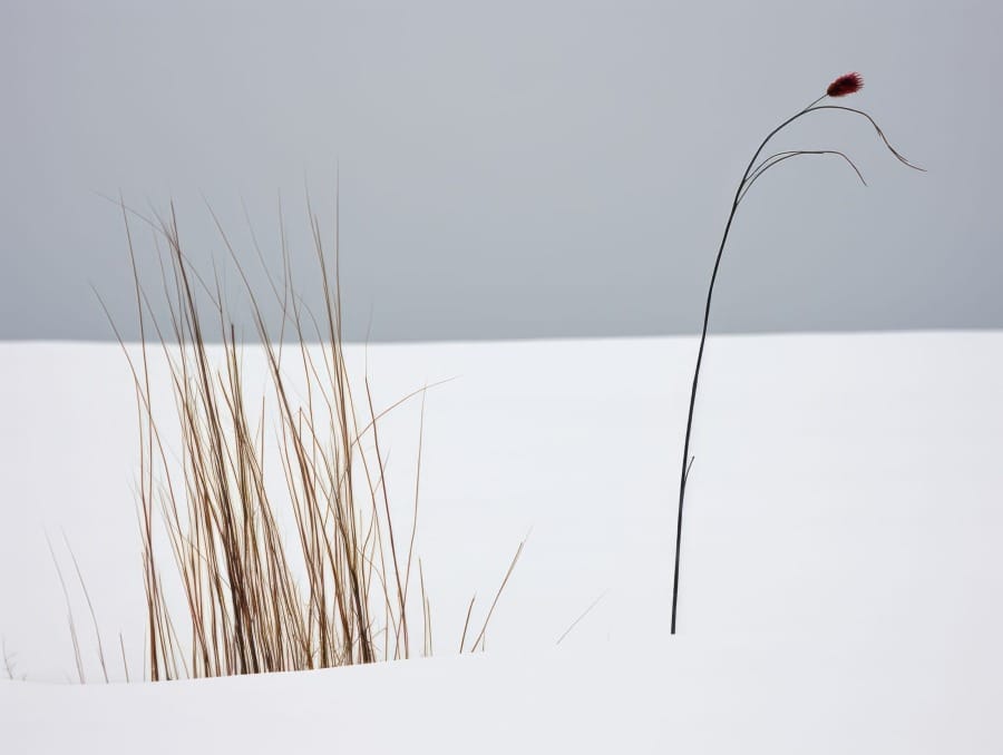 Simplicity in Photography - Mastering Minimalist Composition