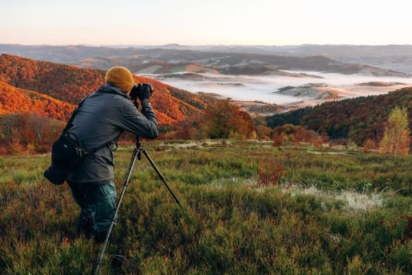 Concepts of Photography: Essential Principles for Capturing Stunning Images